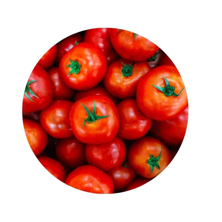 Nuestro mercado – Lanzer