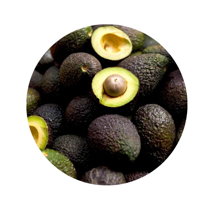 Nuestro mercado – Lanzer