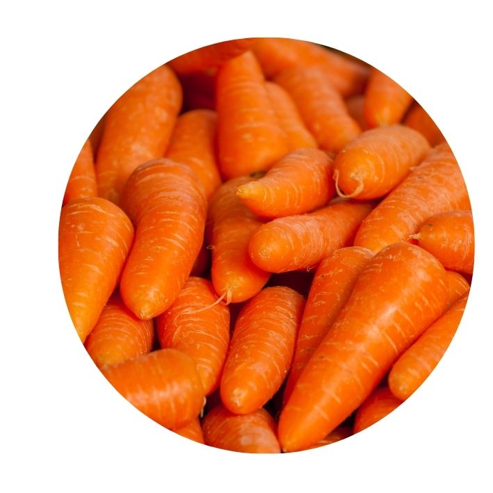 Nuestro mercado – Lanzer